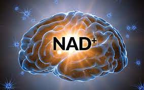 Understanding NAD - More than Just a Wellness Buzzword — Health Freek